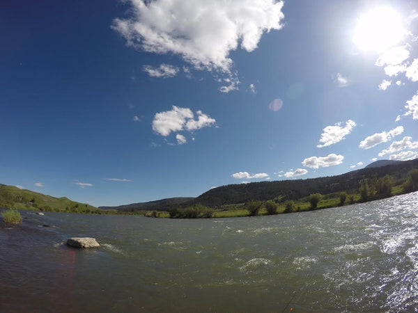 Madison River Fly Fishing Report 6/19/2016 - Madison River Outfitters